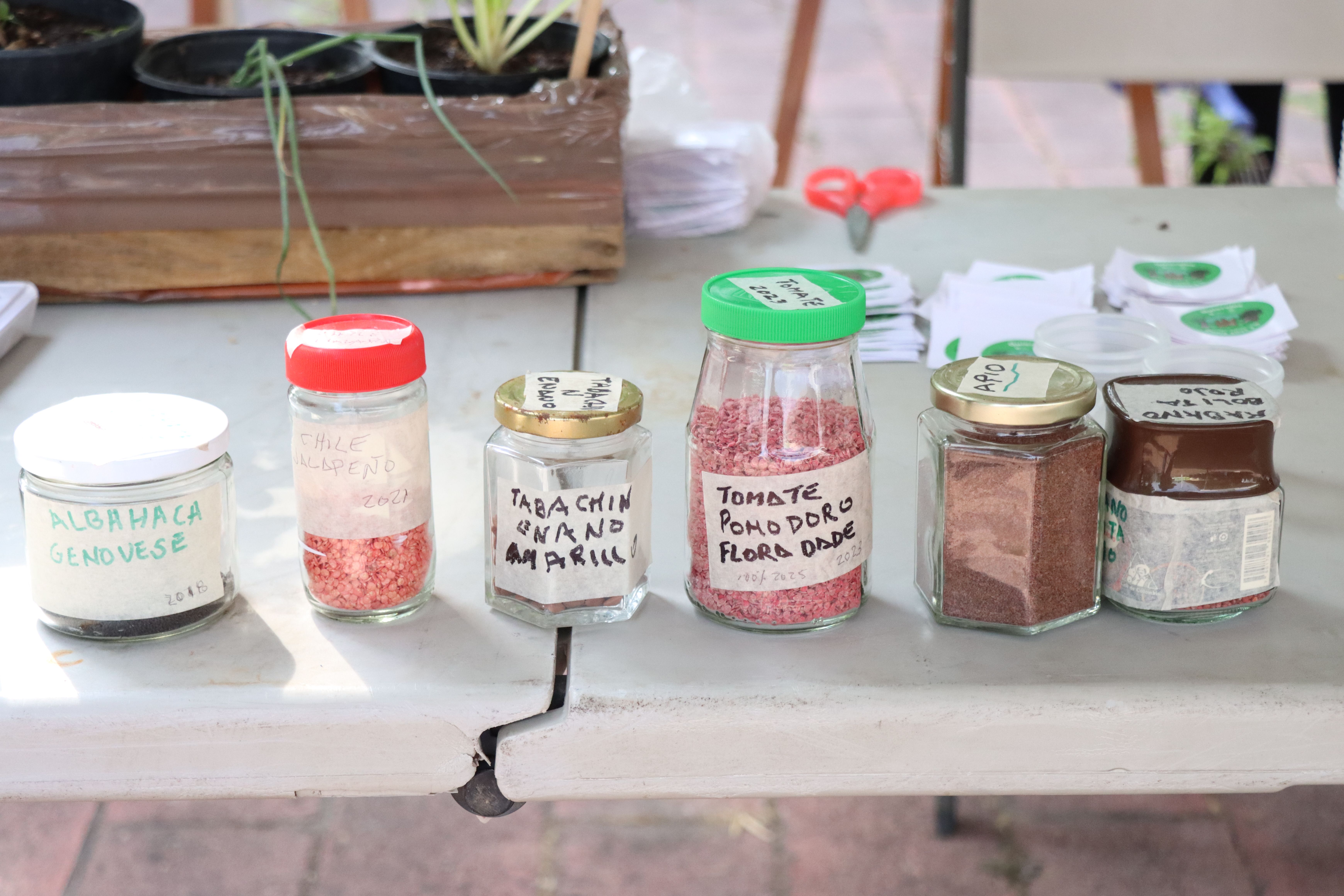 Documento 1 Documento 2 Documento 3 Documento 4 Documento 5 Documento 6 Documento 7 Documento 8